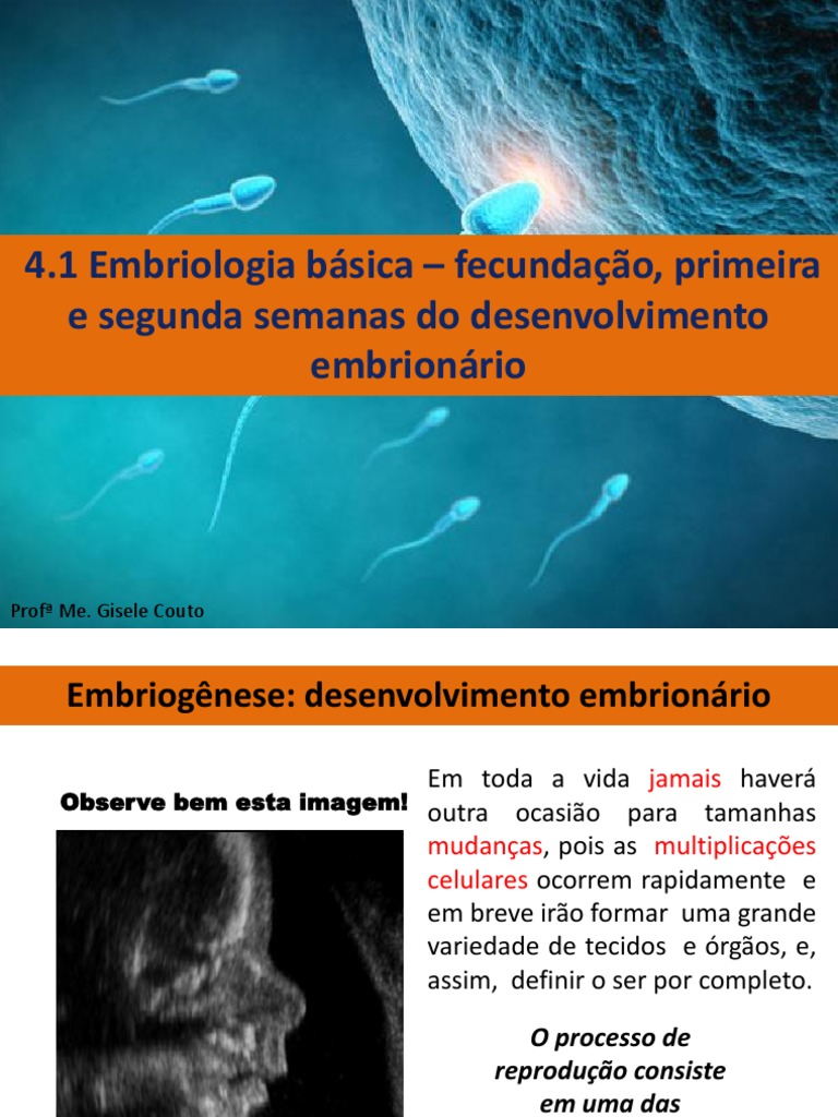 4 1+Embriologia+básica+–+fecundação,+primeira+e+segunda+semanas+do ...
