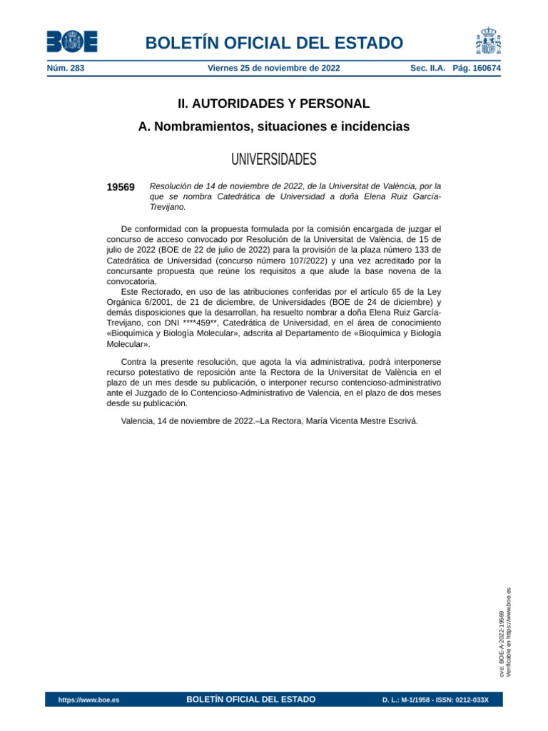Disposición 19569 Del BOE Núm. 283 de 2022 - BOE-A-2022-19569 | PDF ...