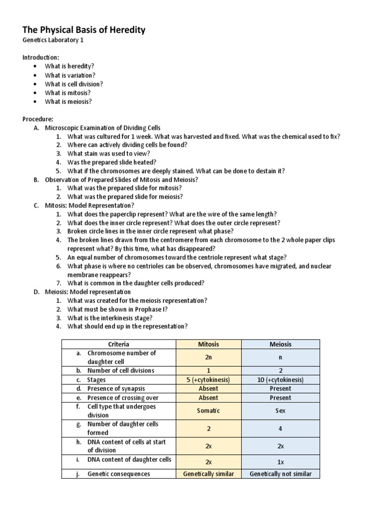 The Physical Basis of Heredity | PDF | Mitosis | Meiosis