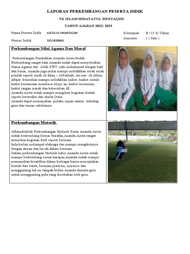 Raport TK Azeta | PDF