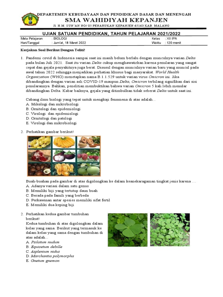Ujian Biologi SMA XII IPA | PDF