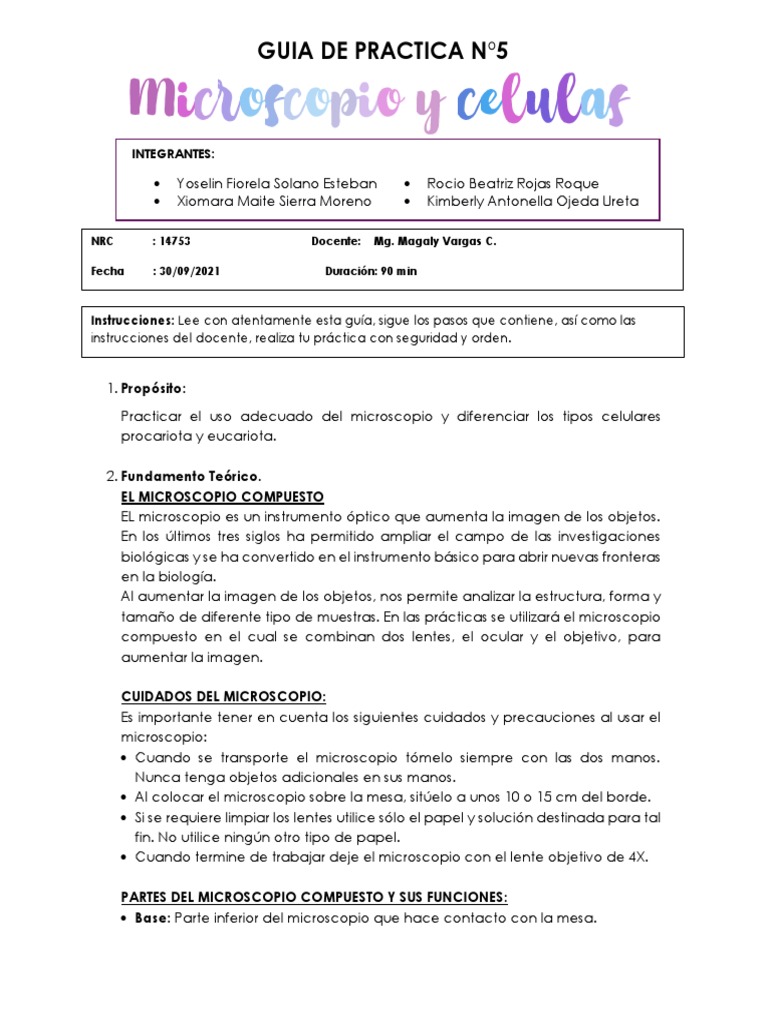 Guia de Practica Laboratorio 5 | PDF