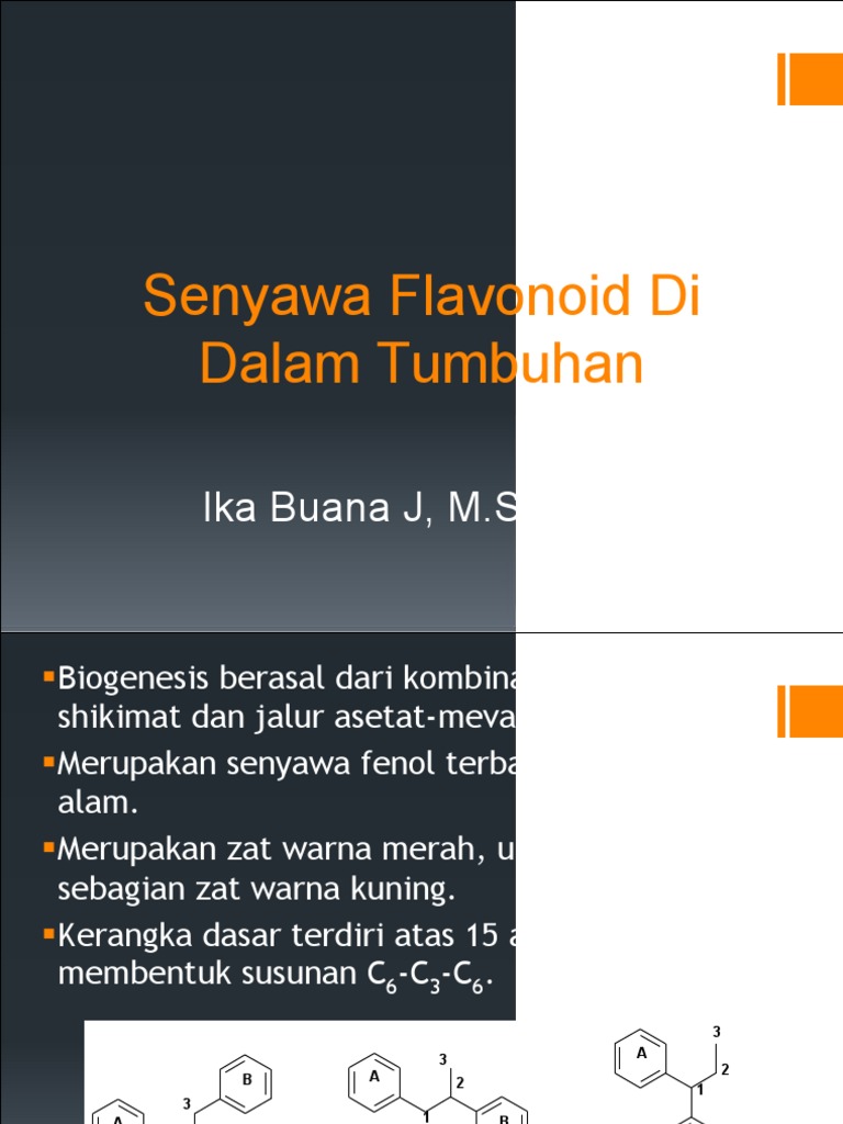 Klasifikasi dan Struktur Senyawa Flavonoid | PDF