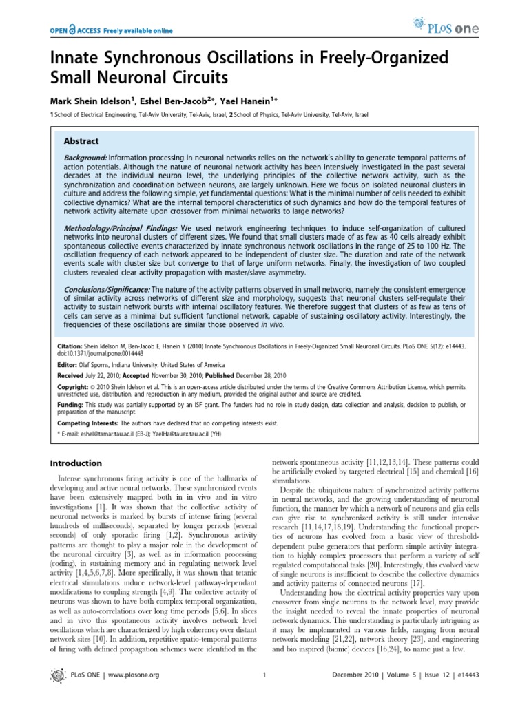 Innate Synchronous Oscillations in Freely-Organized Small Neuronal ...