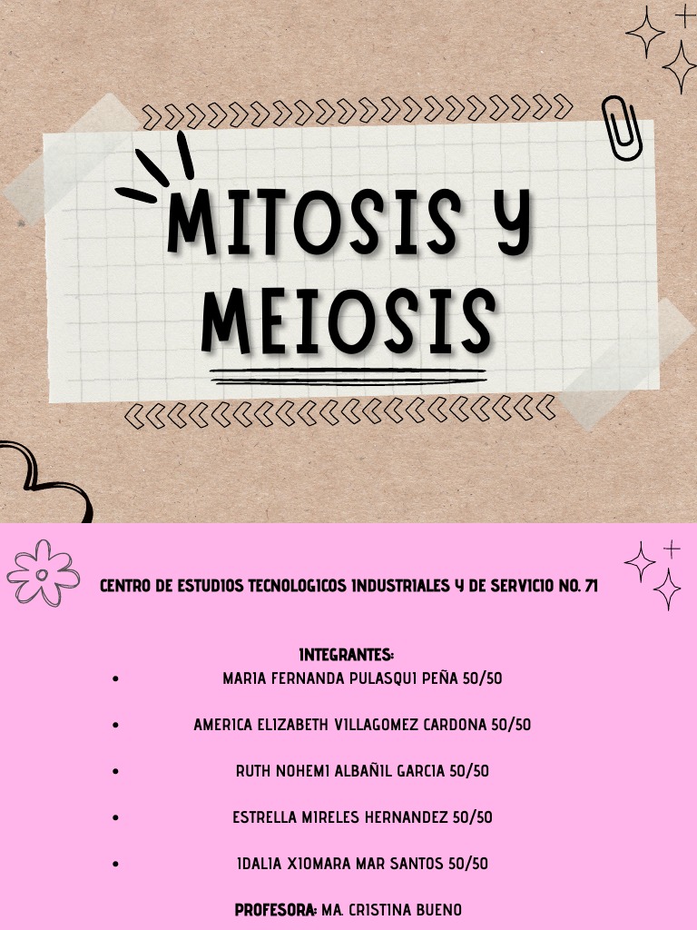 Mitosis y Meiosis | Descargar gratis PDF | Mitosis | Biología Celular