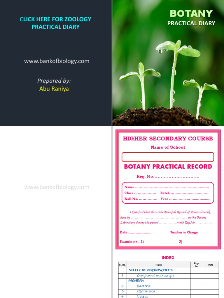 Botany Practical Record Book | PDF | Mitosis | Leaf