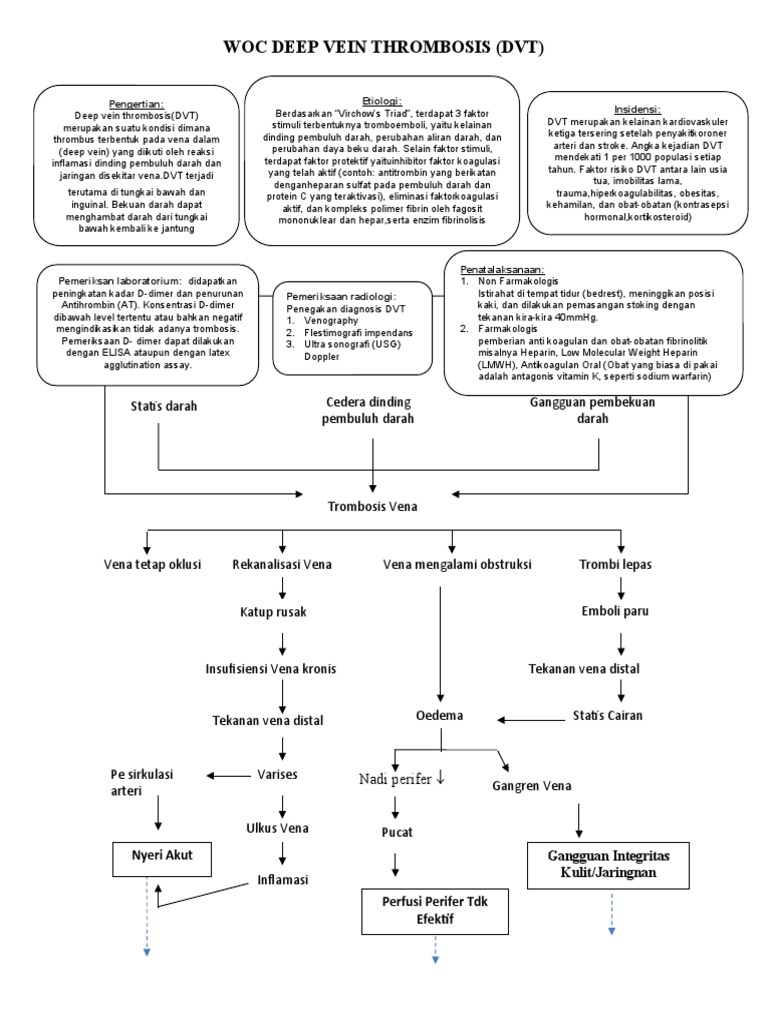 Penatalaksanaan Deep Vein Thrombosis | PDF