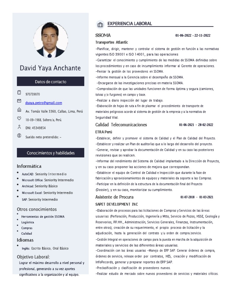 CV David Yaya | PDF | Logística | Business