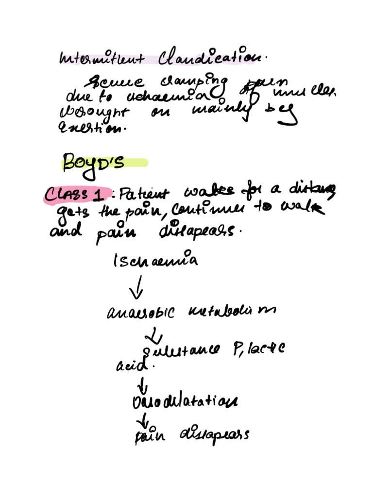 Intermittent Claudication | PDF