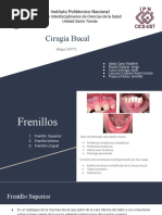 Clasificacion de Frenillos | PDF | Lengua | Boca