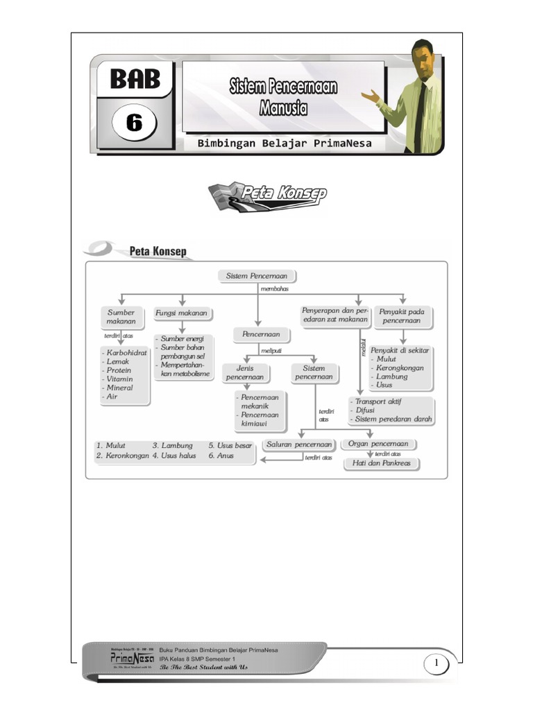 Ipa Bab 6 Rangkuman Sistem Pencernaan | PDF