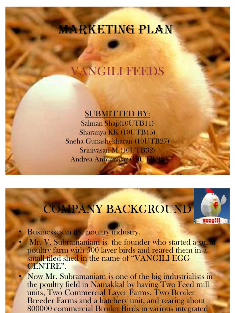 B Broilerchicken | PDF | Poultry Farming | Market Segmentation