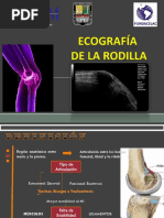 RM Rodilla para Dummies | PDF | Rodilla | Extremidades (anatomía)
