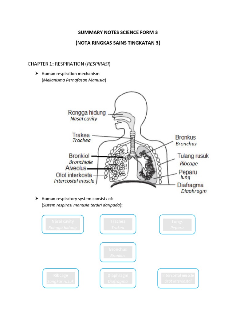 Science Note f3 | PDF