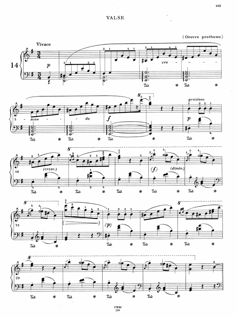 Chopin Werke Paderewski 09 Walzer 239 14 E-Moll Scan | PDF