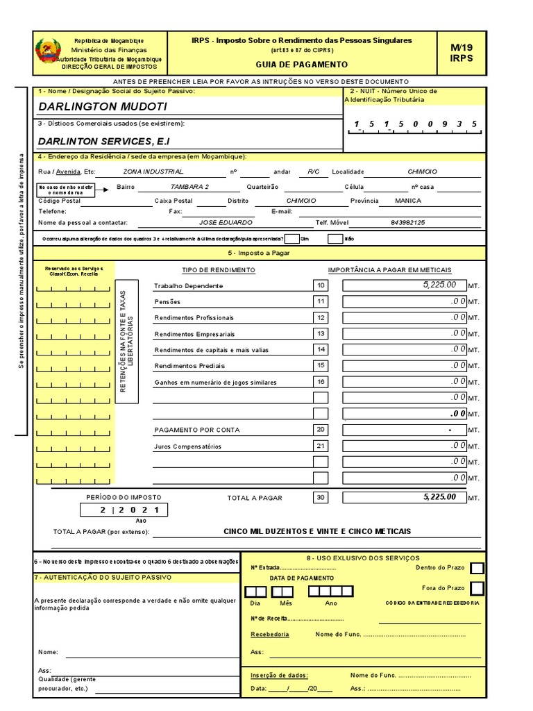 Cópia de Modelo 19 | PDF