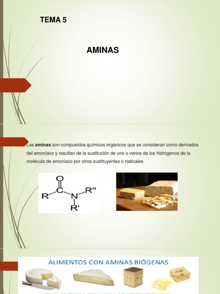 5.aminas 320 | PDF | Amina | Ciencias fisicas