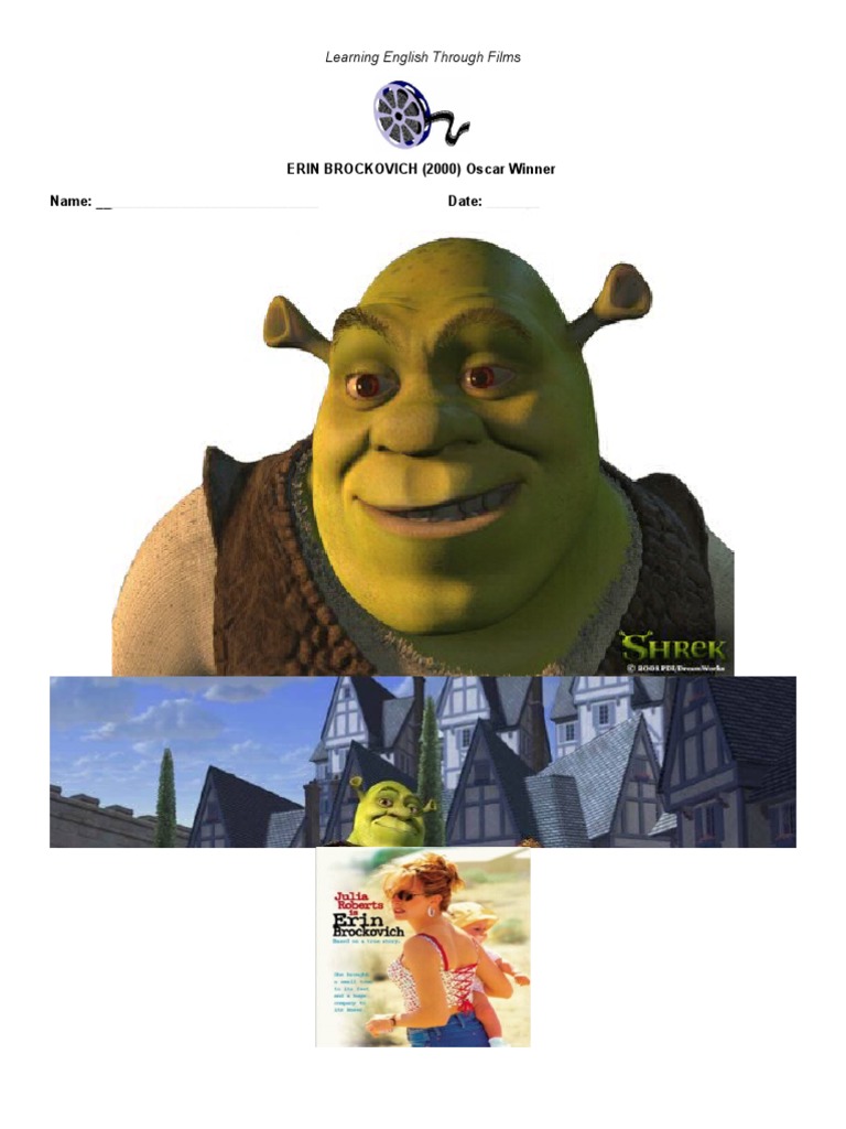 Erin Brockovich Worksheet | PDF | Nature