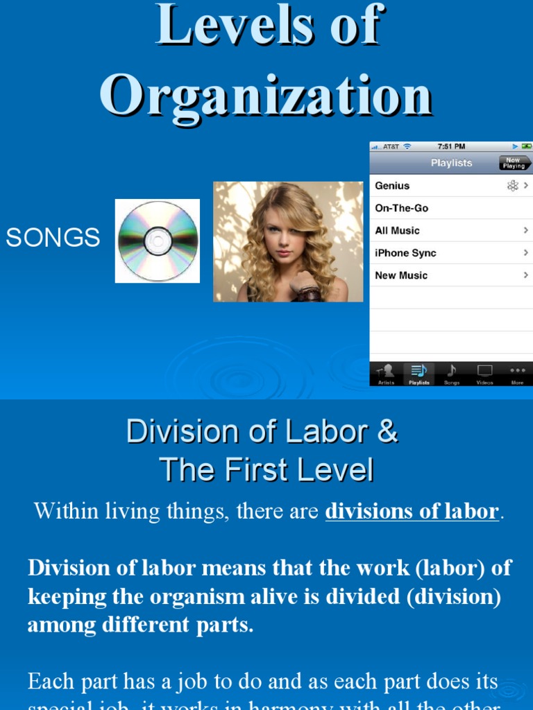 Levels of Organization Powerpoint | PDF