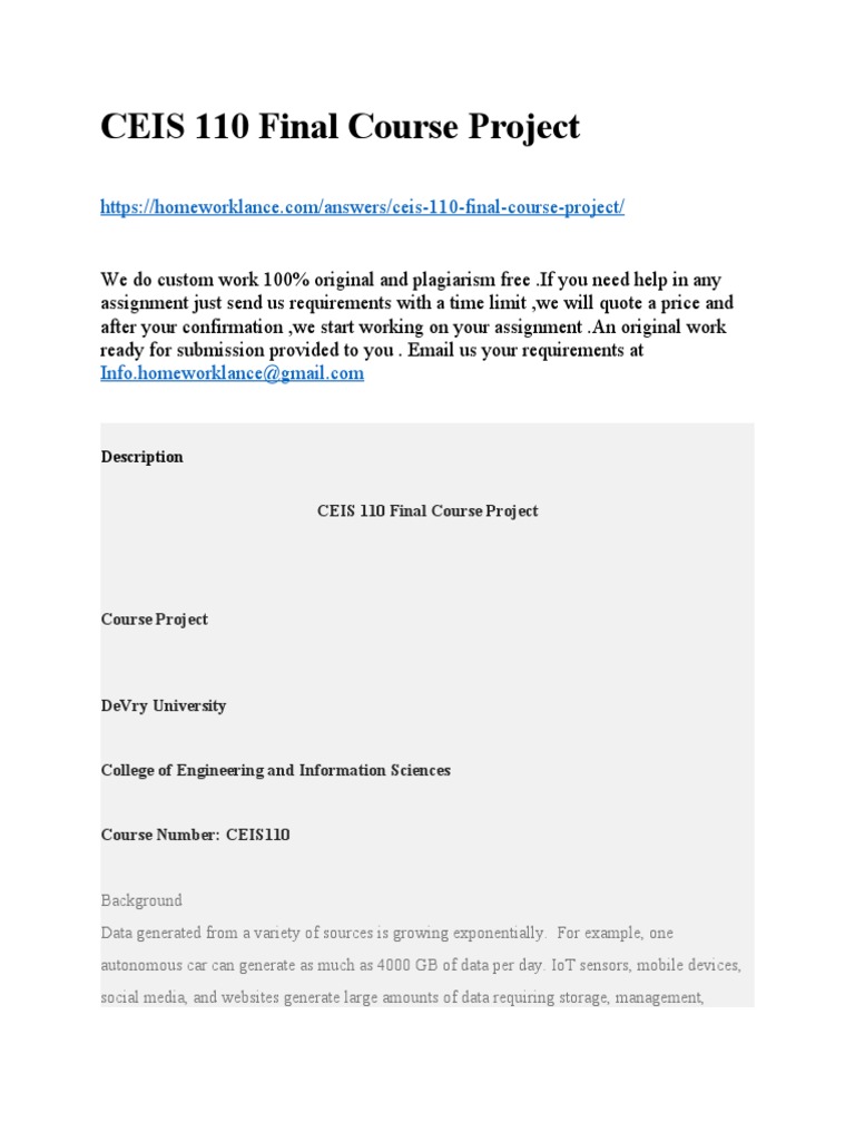 CEIS 110 Final Course Project | PDF