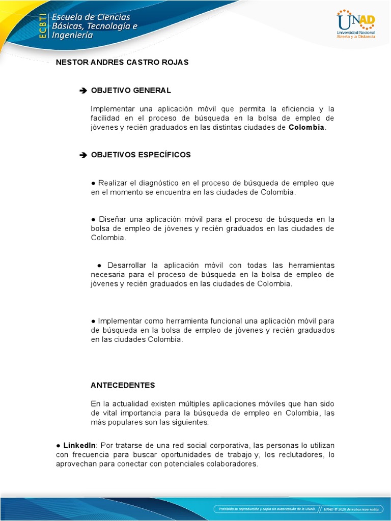 Fase 3-Nestor - Castro | PDF | Aplicación movil | Software de la aplicacion