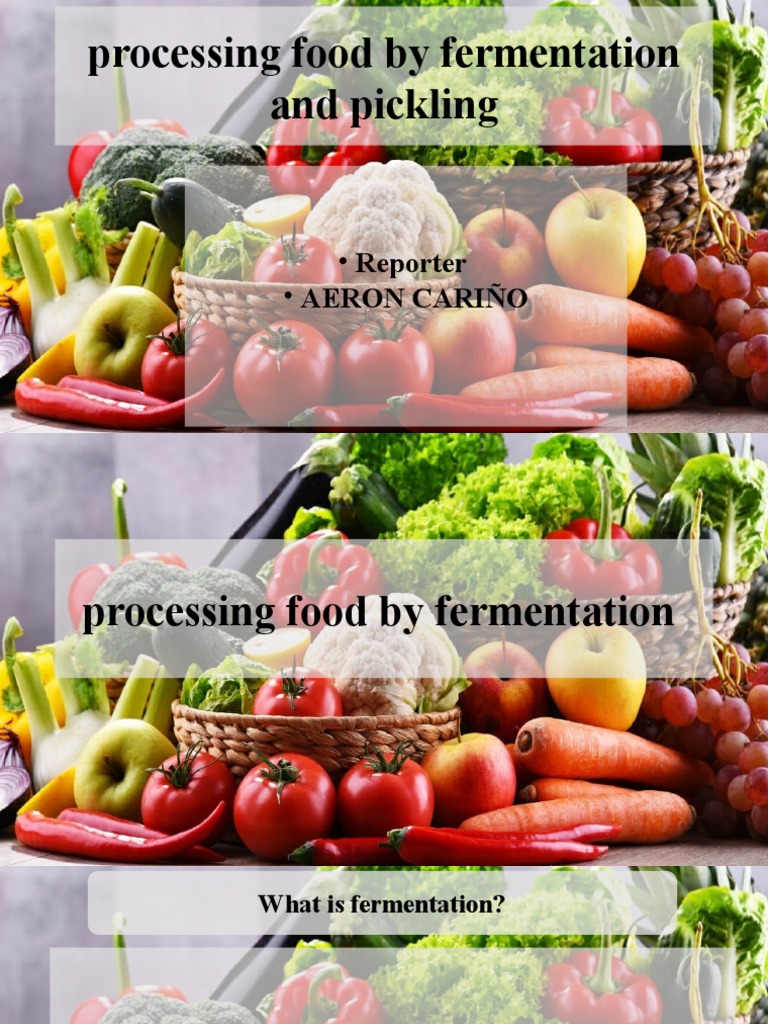 Food Processing by Fermentation and Pickling | PDF | Fermentation ...