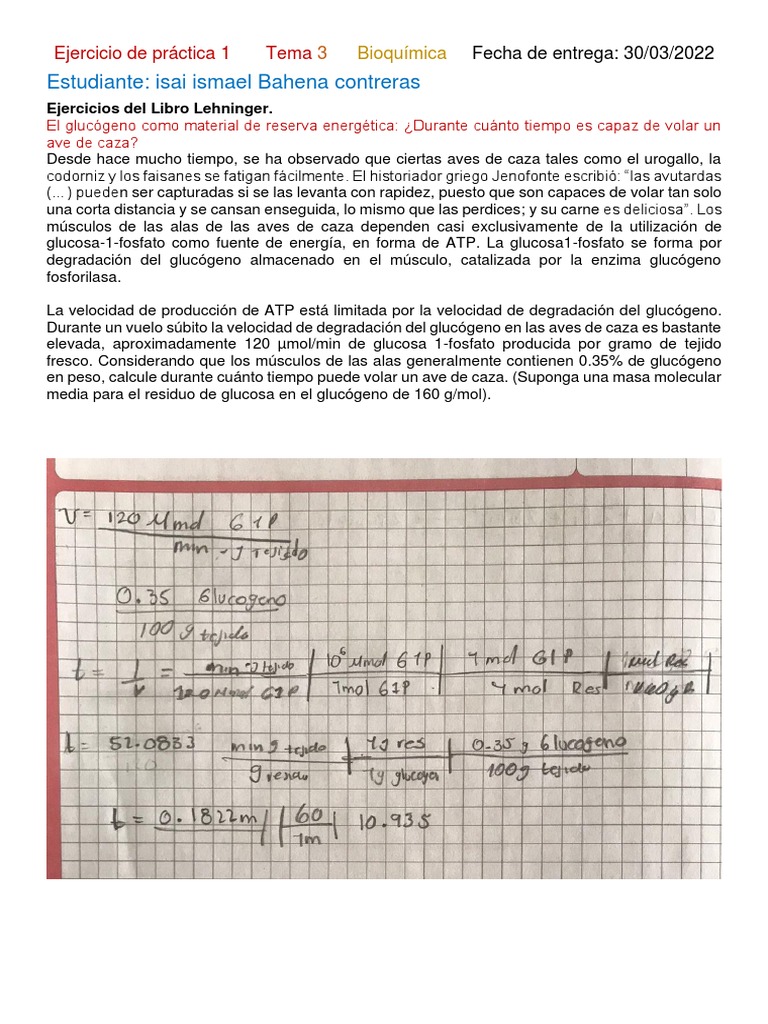 Ejercicio de Practica 1 Tema 3 Ter | PDF
