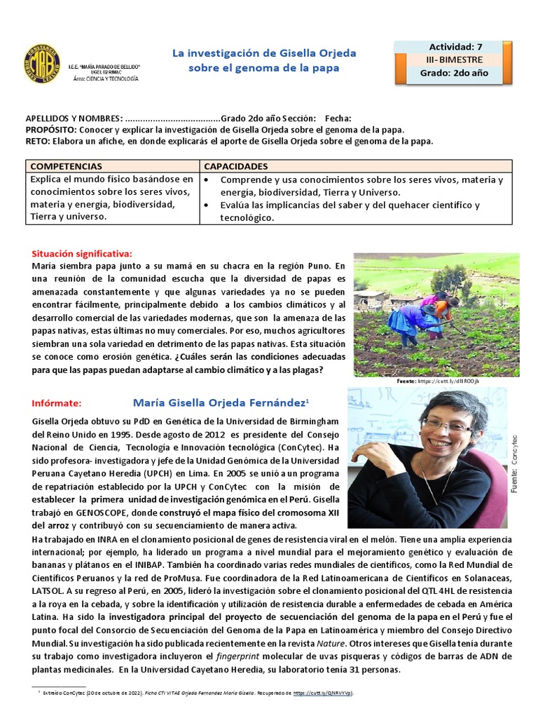 Actividad 7 CyT 2do | PDF | Patata