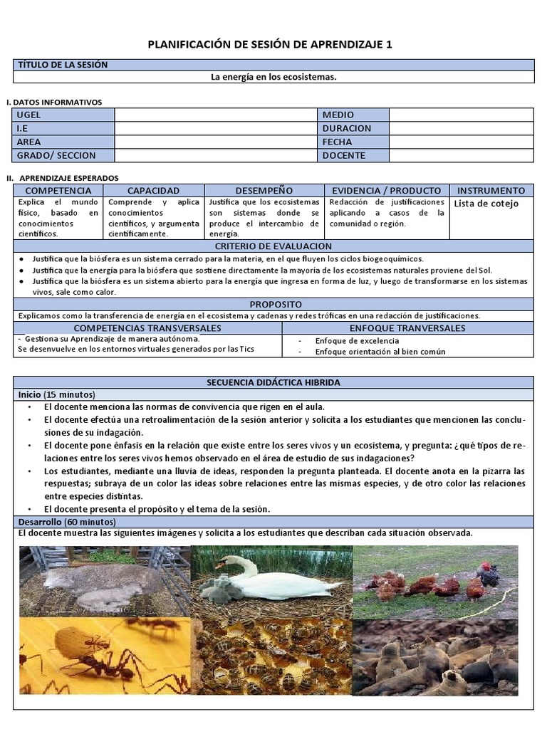 1º Sesion 1 | PDF | Red alimentaria | Ecosistema