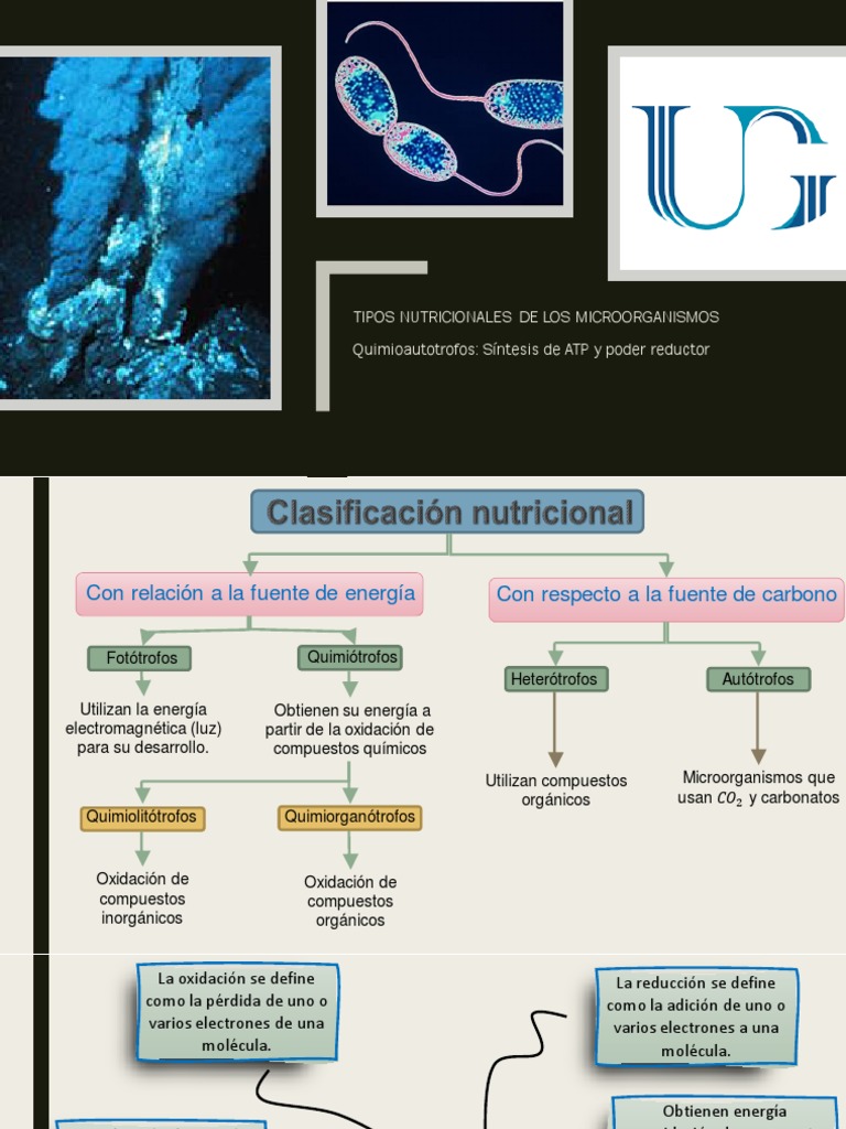 Síntesis de ATP y Poder Reductor Por Quimioautótrofos | PDF | Química ...