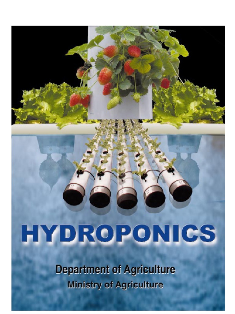Hydroponics Techniques and Benefits | PDF | Hydroponics | Plant Nutrition