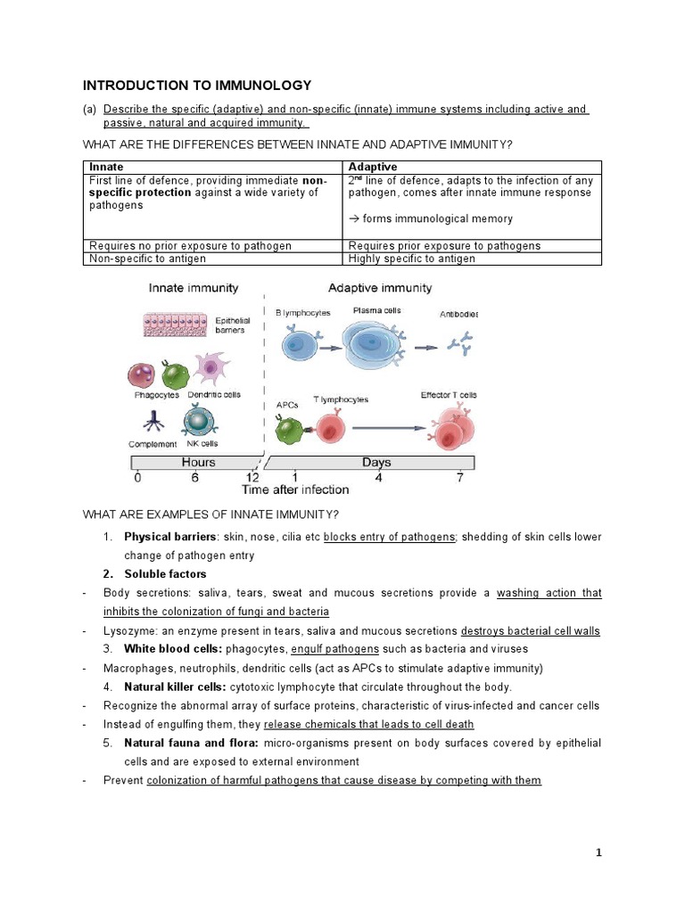 Introduction To Immunology | PDF | T Cell | Cytotoxic T Cell