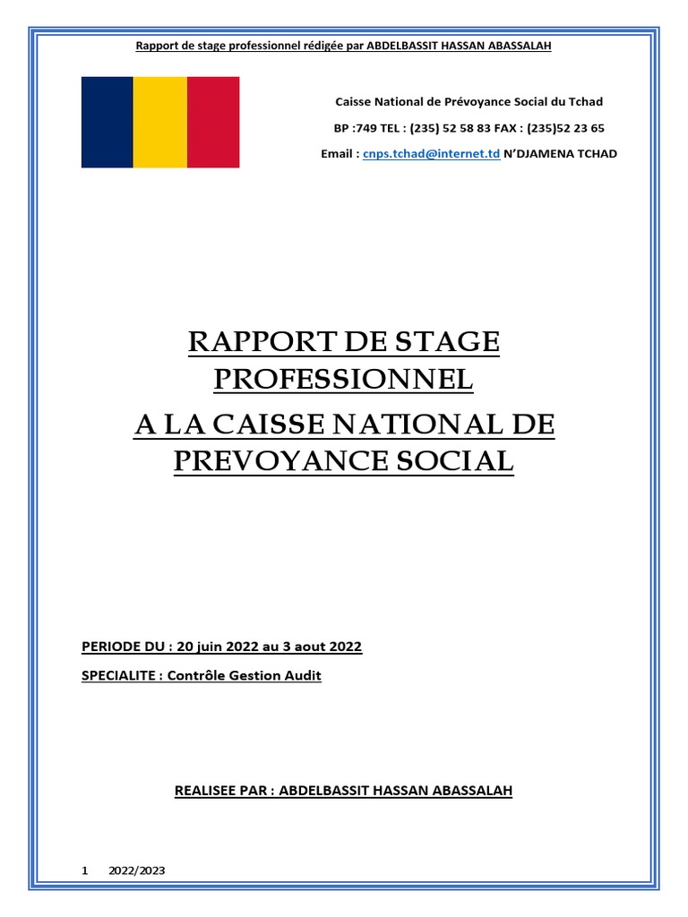 RAPPORT DE STAGE PROFESSIONNEL (Enregistré Automatiquement) | PDF