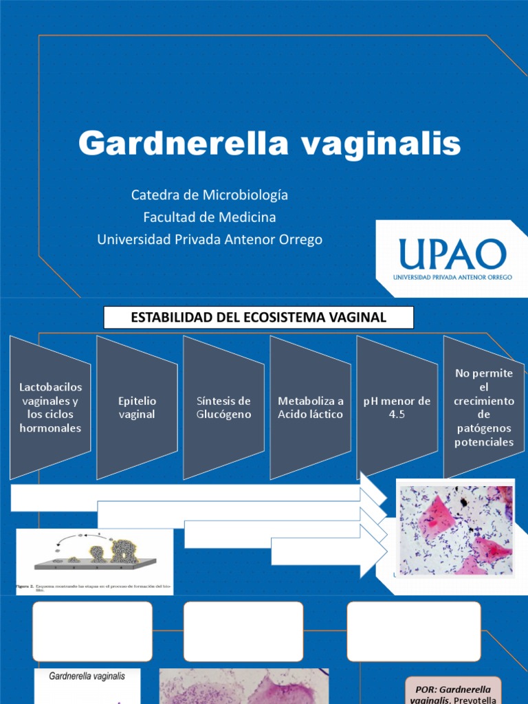 Gardnerella Upao | PDF