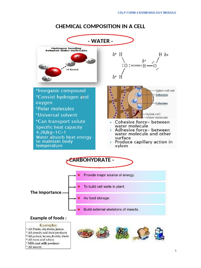 Bio F4 Bab 4 | PDF | Polysaccharide | Organic Compounds