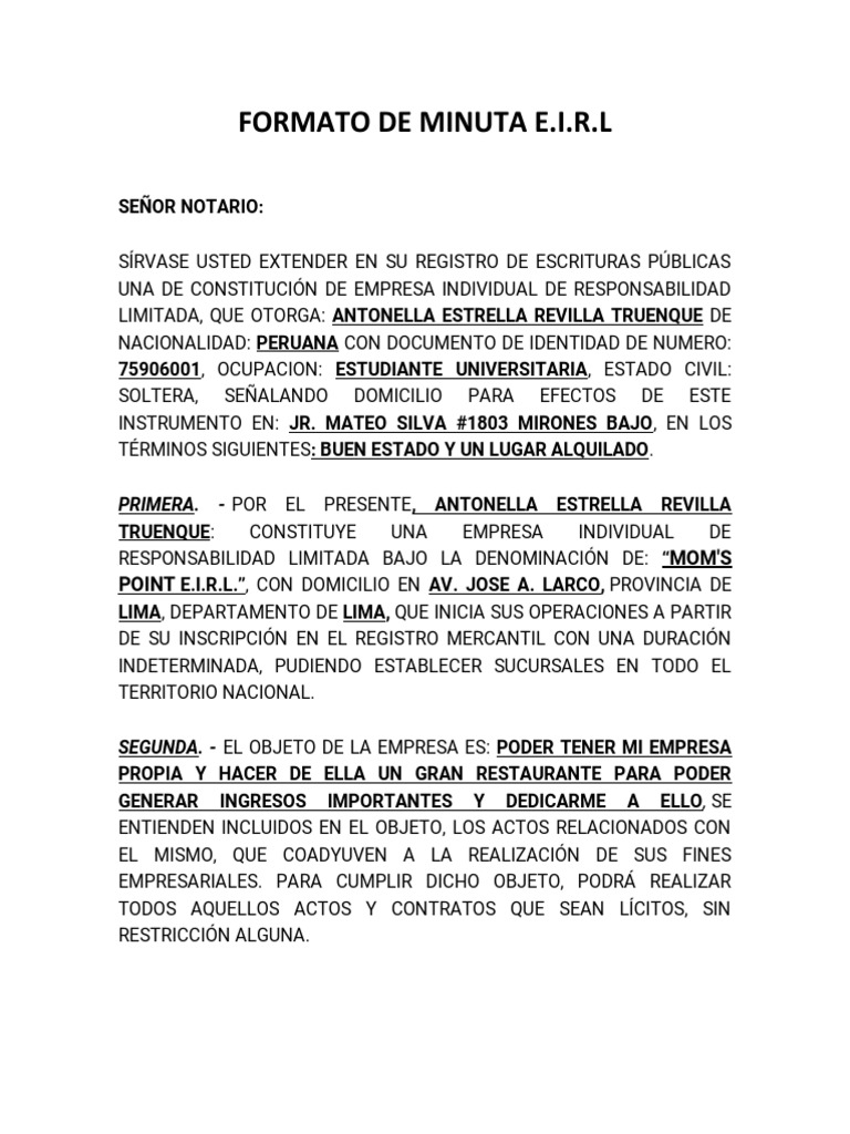 Formato de Minuta | PDF | Business | Contabilidad