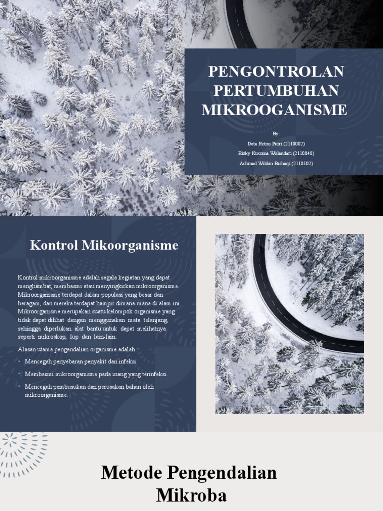 Pengontrolan Pertumbuhan Mikroorganisme - Achmad Wildan Baihaqi | PDF