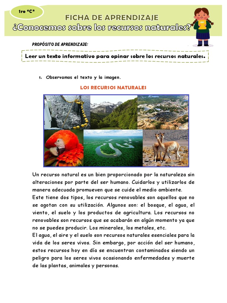 Recursos Naturales Ficha | PDF