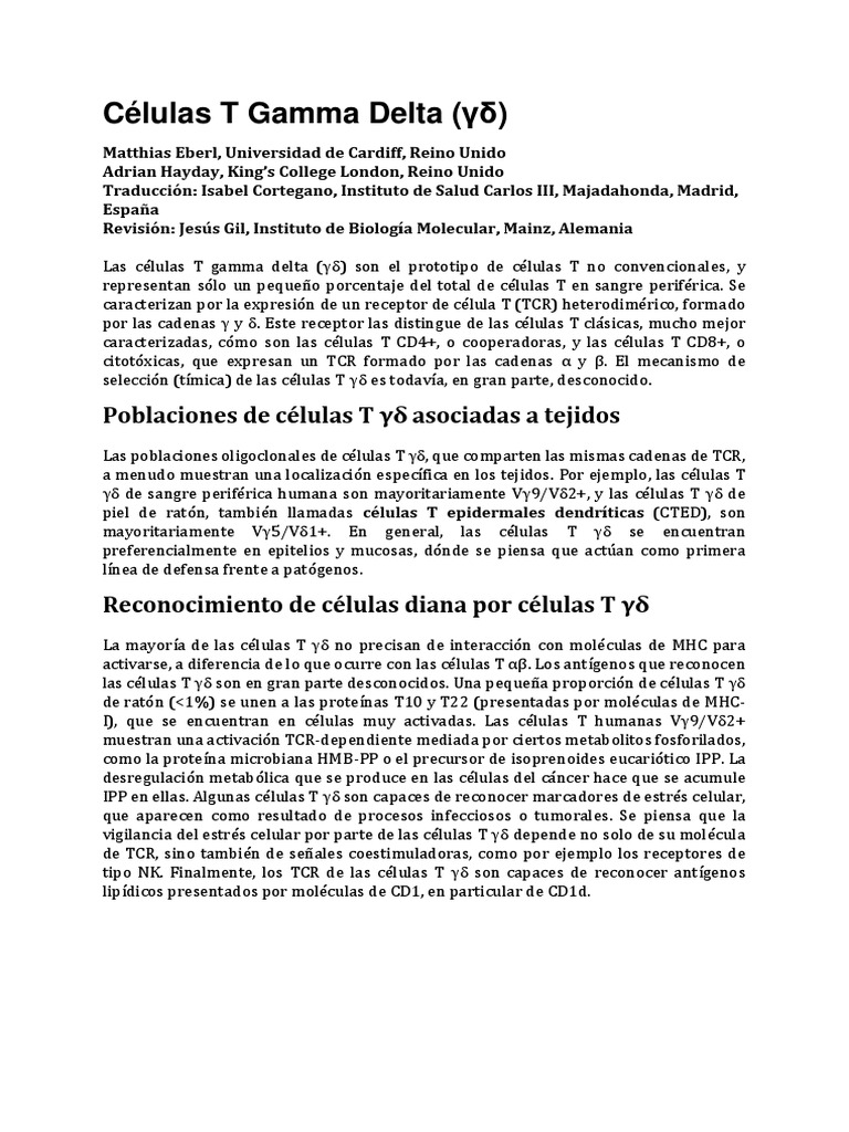 Células T Gamma Delta (Gamma Delta (GD) T Cells) | PDF | Célula T ...