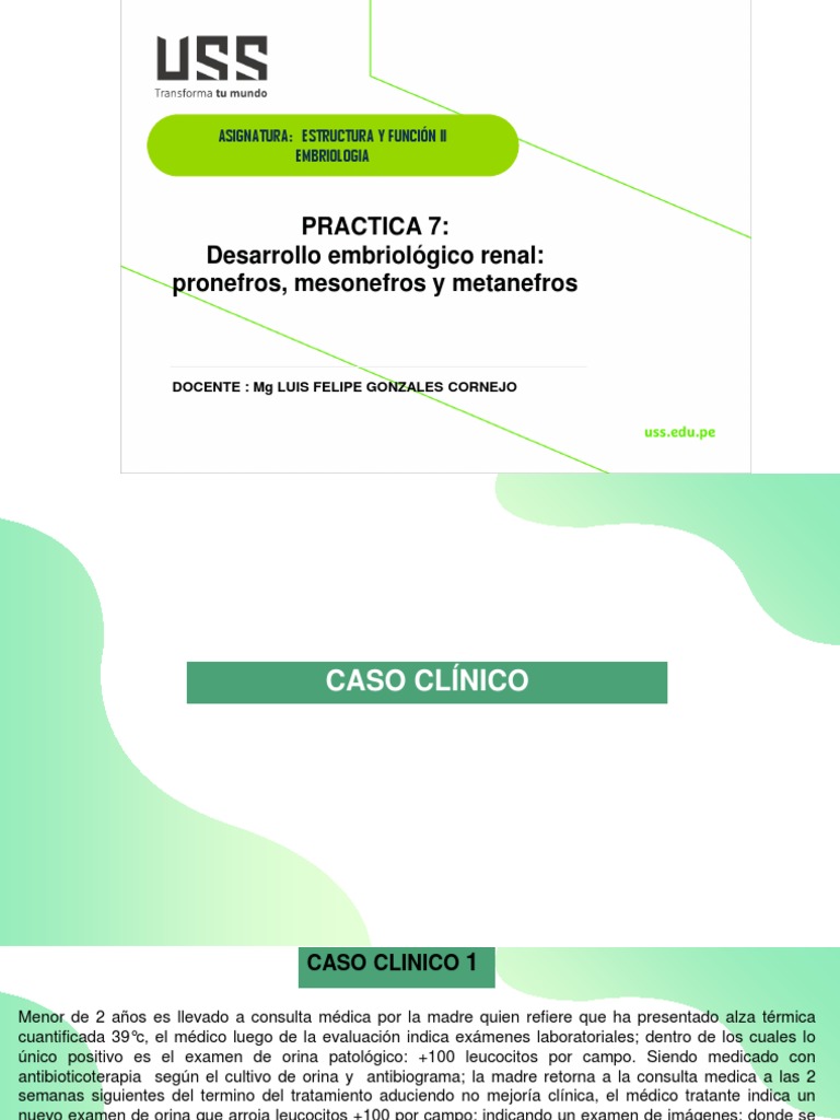 Sem 7 Práctica Aparato Renal I DR Gonzales | PDF