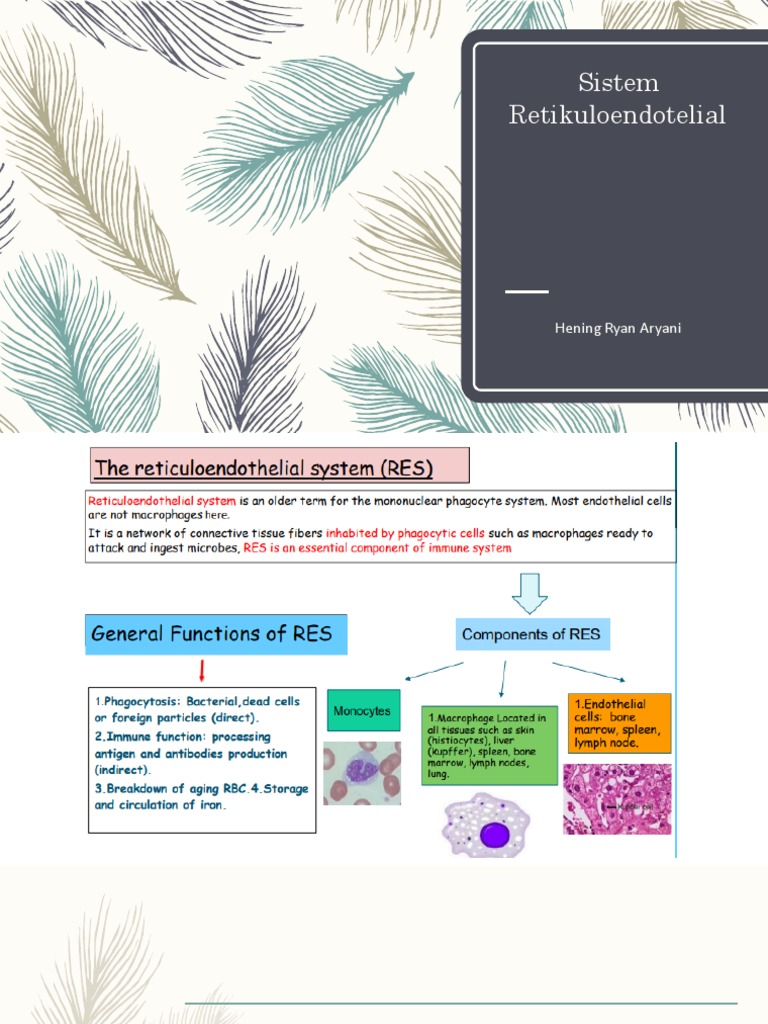 Sistem Retikuloendotelial | PDF