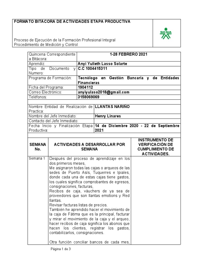 Bitácora de Actividades: Práctica Profesional | PDF | Negocios