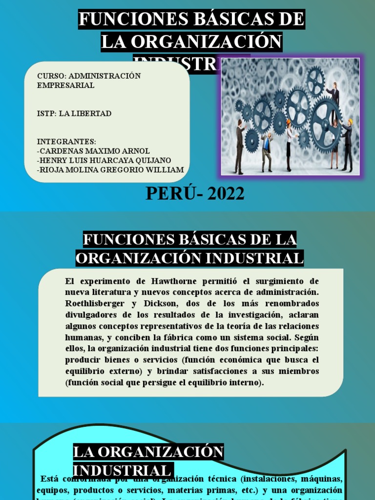 Funciones Básicas de La Organización Industrial | PDF