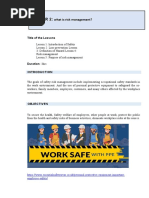 Principles of Sensible Risk Management | PDF