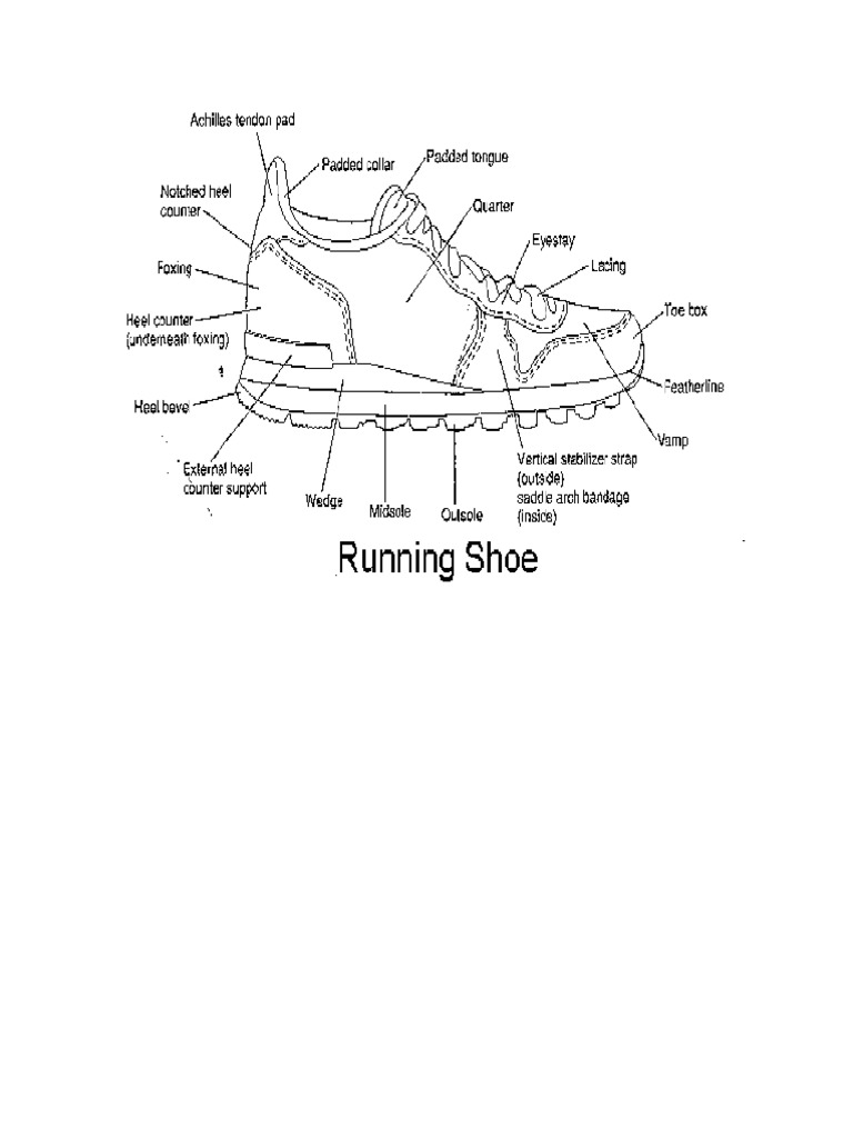 SHOE Components | PDF | Shoe | Softlines (Retail)