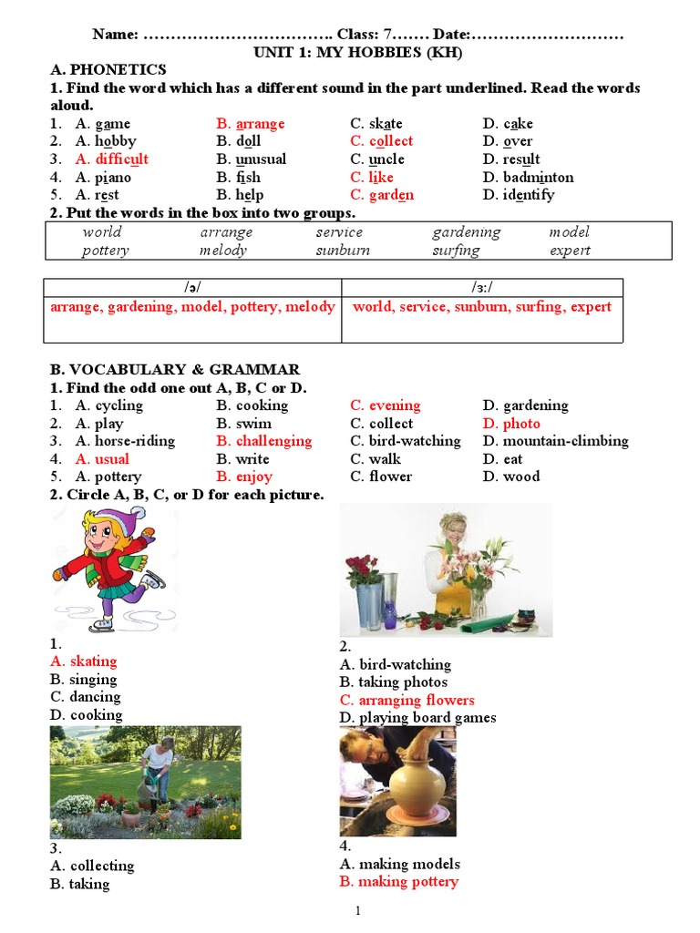 A Student's Document on Hobbies: Phonetics, Vocabulary, Grammar ...