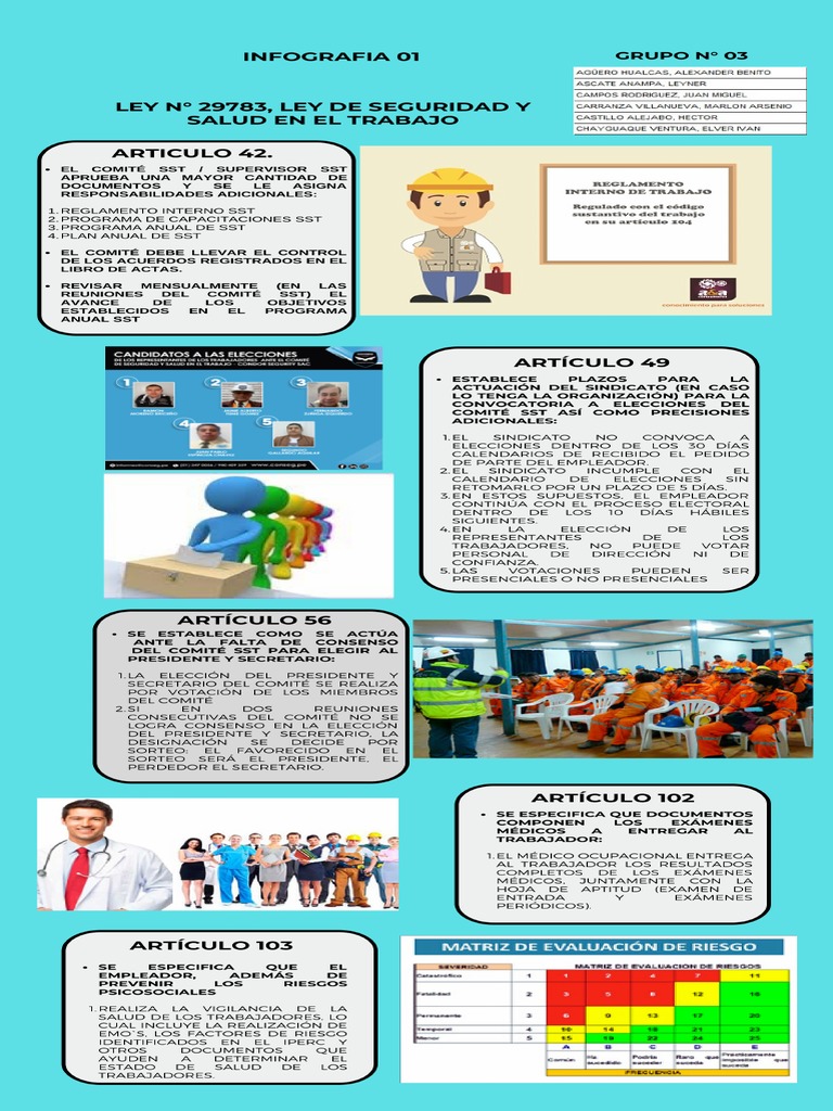 Infografía LEY 29783 | PDF