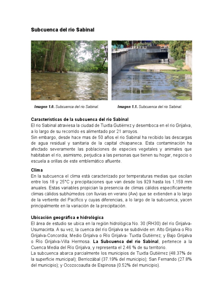 Subcuenca Del Rio Sabinal | PDF | Roca (geología) | Roca clástica