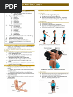 Skeletal System PowerPoint | PDF | Bone | Skeleton