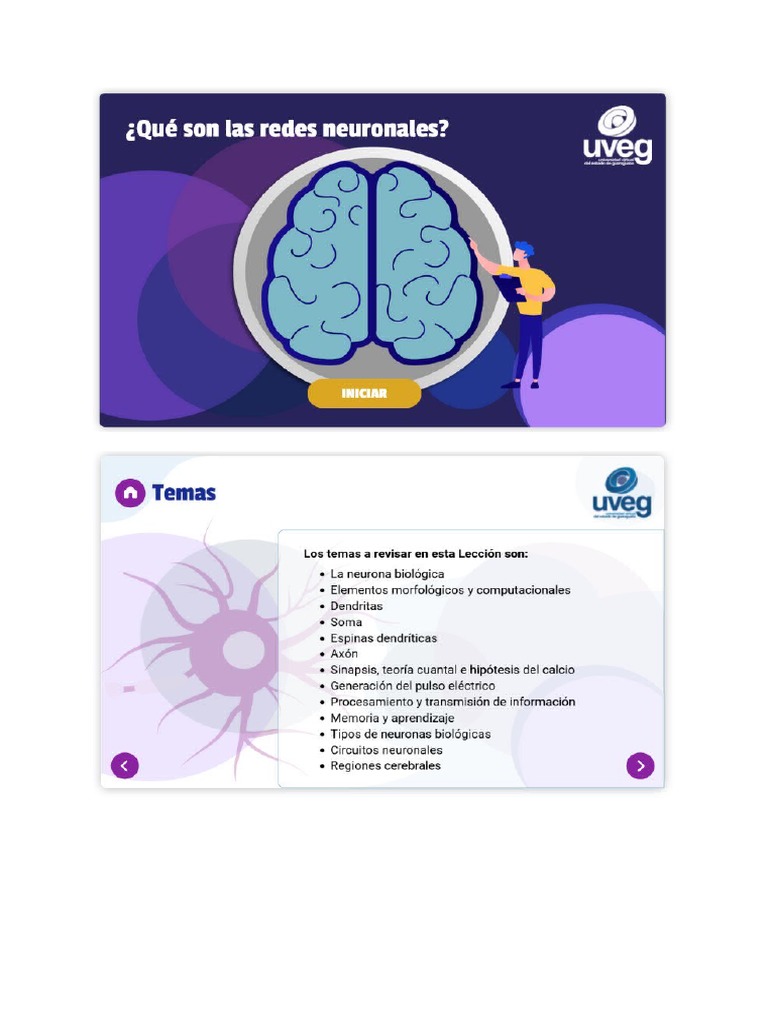 ¿Qué son las Redes Neuronales | PDF ¿Qué son las Redes Neuronales | PDF